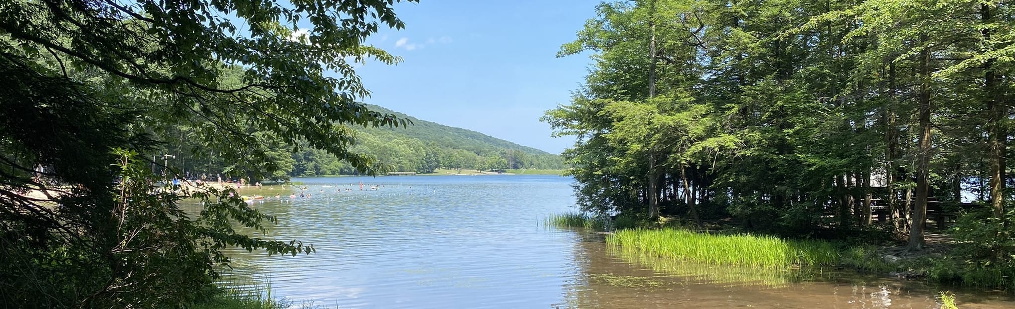 Locust Lake Trail: 253 Reviews, Map - Pennsylvania | AllTrails