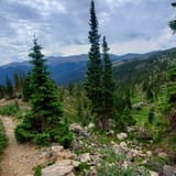 Fancy Pass Trail, Colorado - 283 Reviews, Map | AllTrails