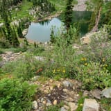 Fancy Pass Trail, Colorado - 283 Reviews, Map | AllTrails