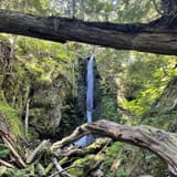 Cora Lake Trail, Washington - 232 Reviews, Map | AllTrails