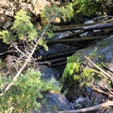 Webster's Dam/Manmade Falls, Idaho - 263 Reviews, Map | AllTrails