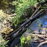 Webster's Dam/Manmade Falls, Idaho - 263 Reviews, Map | AllTrails