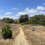 Lopez Canyon Trail To Goat Trail Loop, California - 307 Reviews, Map ...