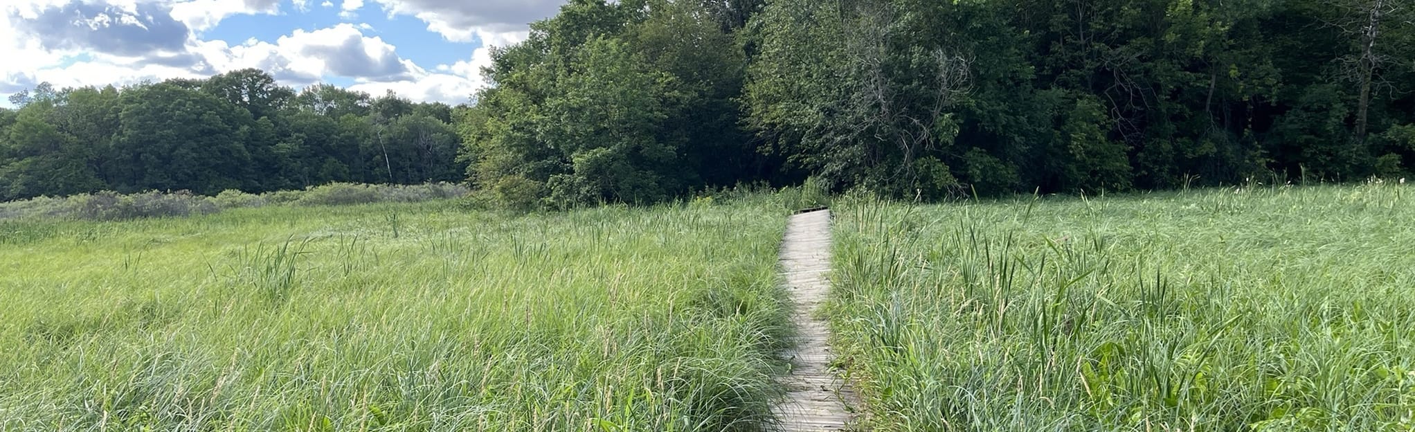 Hanrehan Lake and Murphy Lake, Minnesota - 197 Reviews, Map | AllTrails