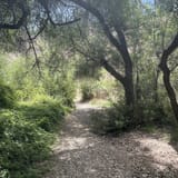 Lopez Canyon Trail To Goat Trail Loop, California - 307 Reviews, Map ...