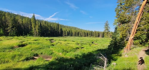 Best Hikes and Trails in Taylor Park | AllTrails