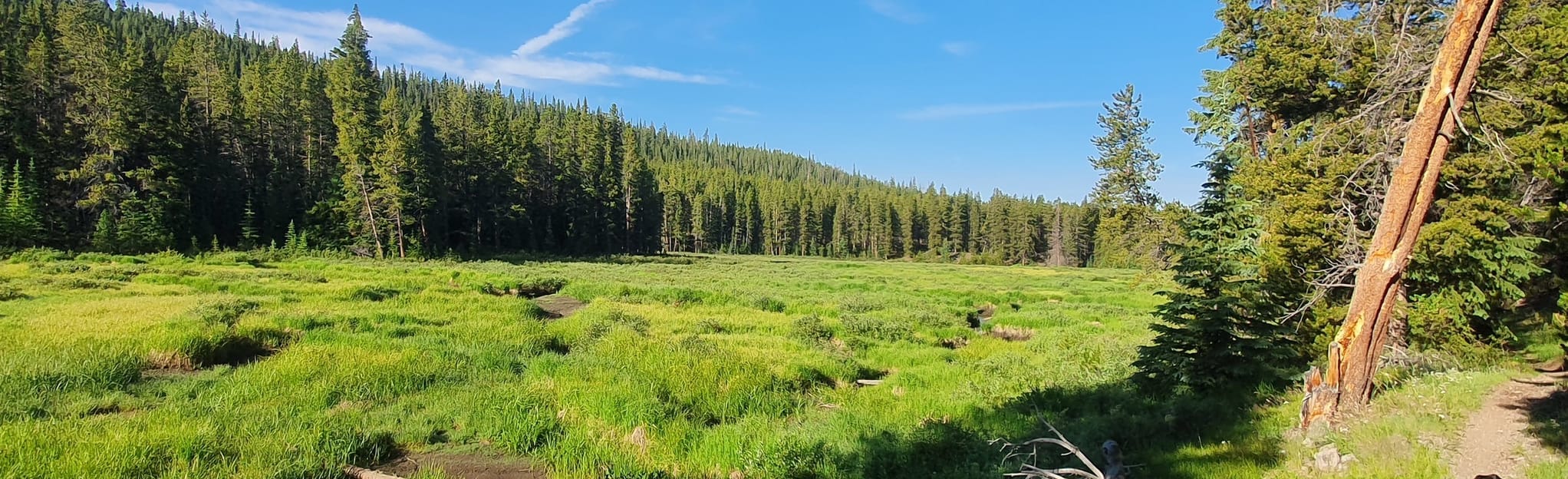 Timberline Trail, Colorado - 3 Reviews, Map | AllTrails