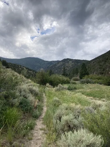 10 Best Bird Watching Trails in Great Basin National Park | AllTrails