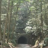 Poe Paddy Tunnel Loop, Pennsylvania - 66 Reviews, Map | AllTrails