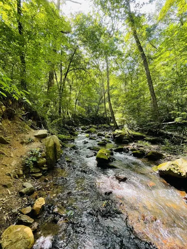 Best 10 Hikes and Trails in Jefferson National Forest | AllTrails