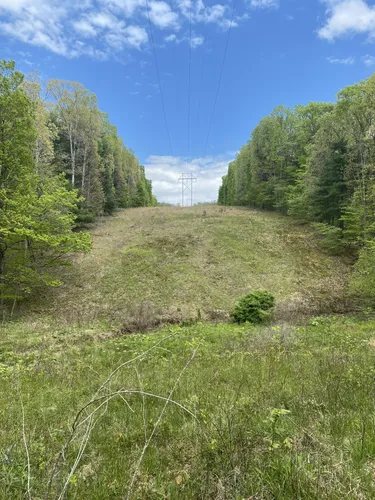 Best Hikes and Trails in Green Ridge State Forest | AllTrails