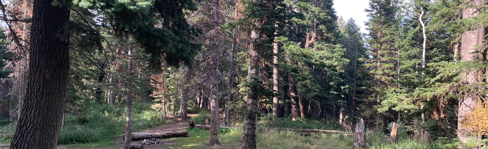 Bear Canyon Trail From Mutual Dell, Utah - 93 Reviews, Map | AllTrails