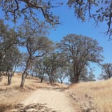 Ohlone Wilderness Trail - Del Valle, California - 493 Reviews, Map ...