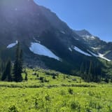 Spider Meadow via Phelps Creek Trail, Washington - 322 Reviews, Map ...