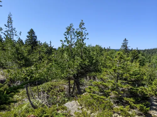 Best Hikes and Trails in Lisa Tolman Wotton Nature Preserve | AllTrails