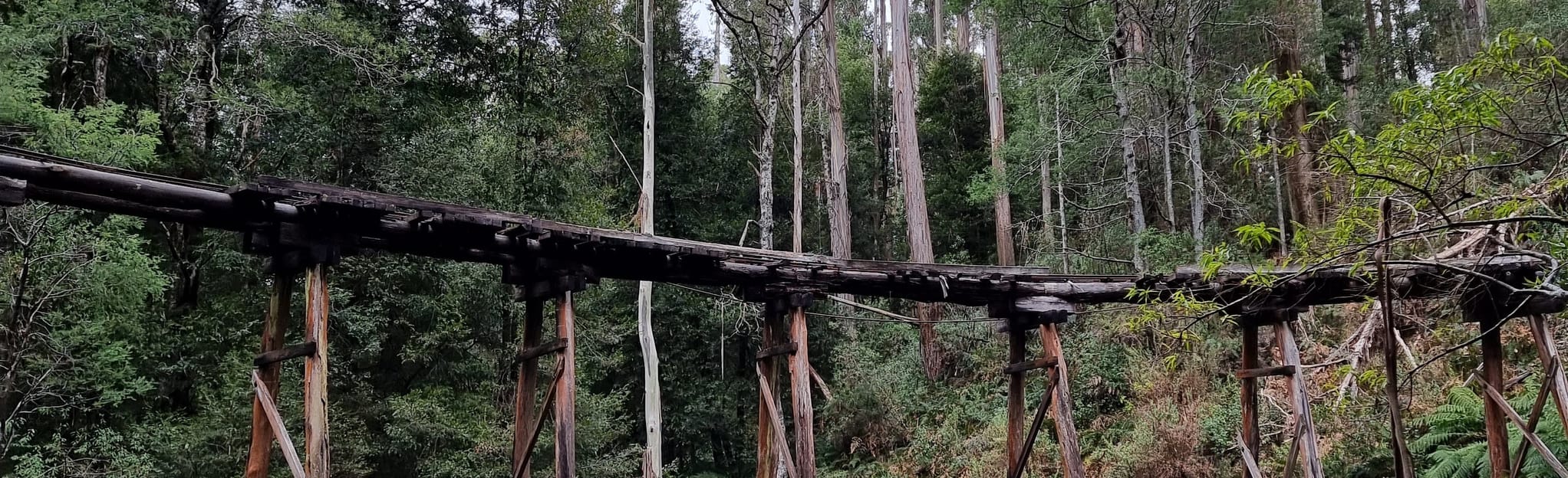 Rubicon Falls via Rubicon River Road, Victoria, Australia - 29 Reviews ...