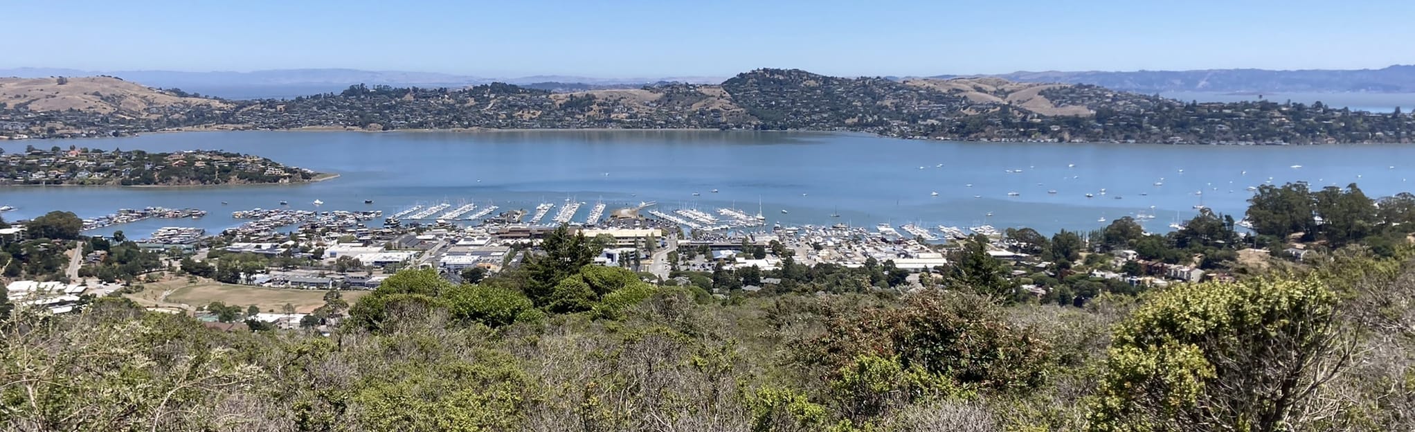 Oakwood Valley Trail - California | AllTrails