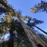 Cora Lake Trail, Washington - 232 Reviews, Map | AllTrails