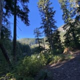Cora Lake Trail, Washington - 250 Reviews, Map | AllTrails