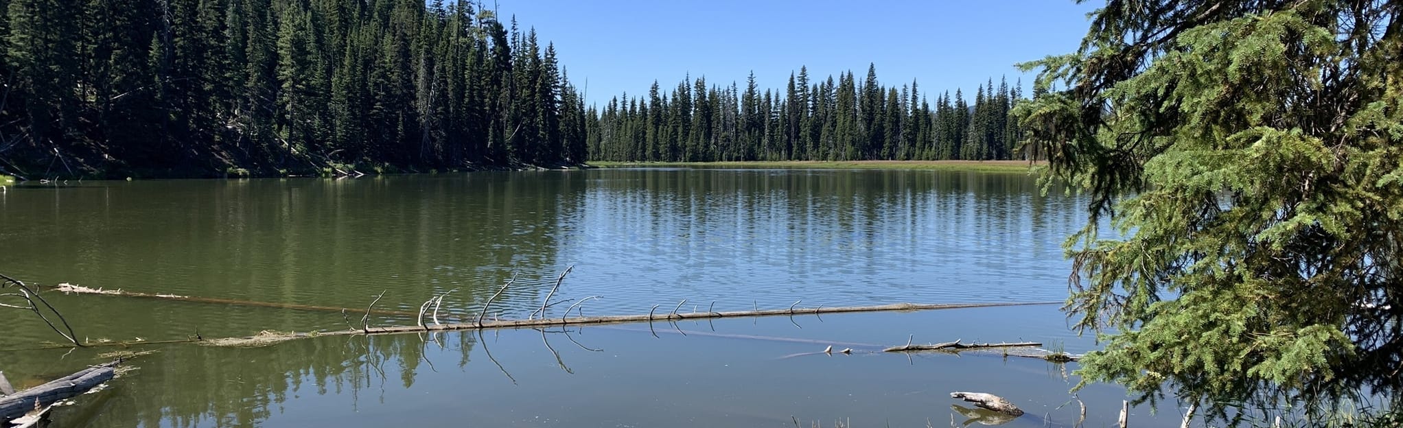 Blue Lagoon Trail, Oregon - 14 Reviews, Map | AllTrails