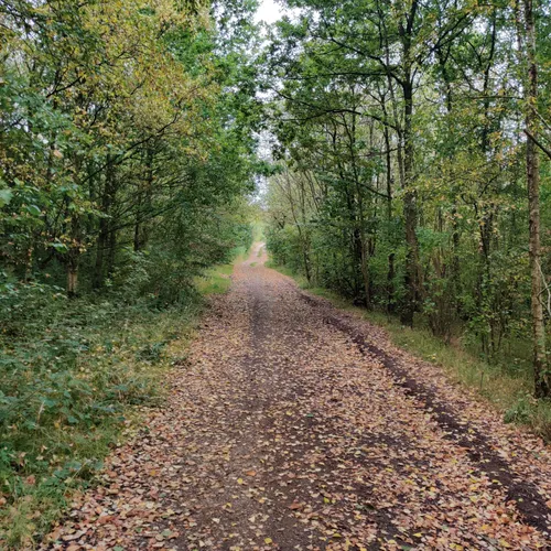 Best Hikes and Trails in Bateswood Nature Reserve | AllTrails