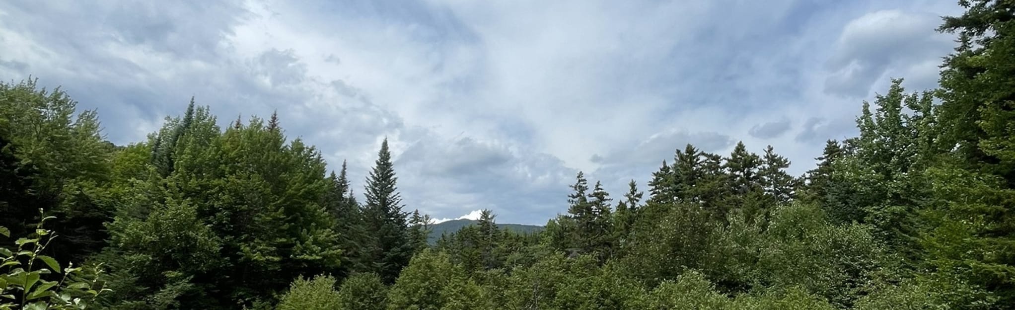 Kettles Path to the Scaur, New Hampshire - 400 Reviews, Map | AllTrails