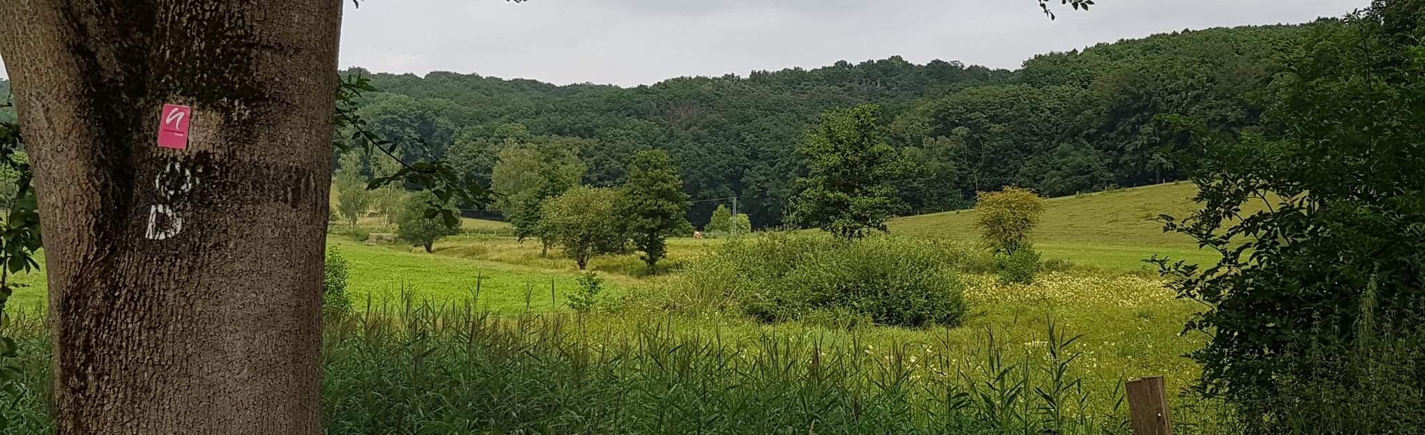Denkmalroute Alt-Erkrath ( Neanderlandsteig) | Map, Guide - North Rhine ...