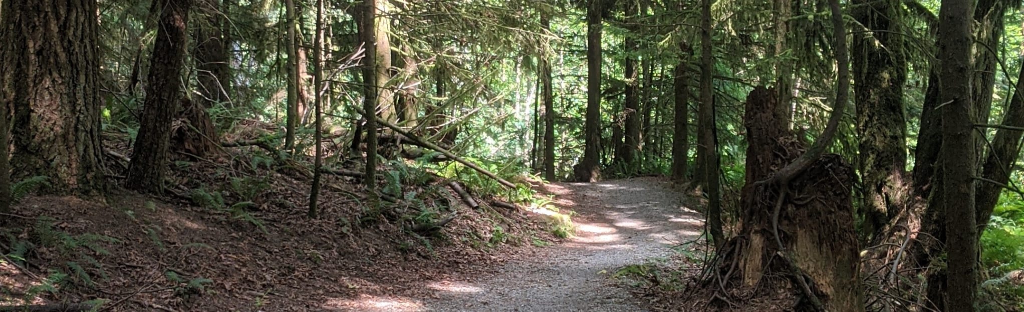 Pauline Clarke - The Silver Ghost - Thornhill Grind - Tower Trail ...