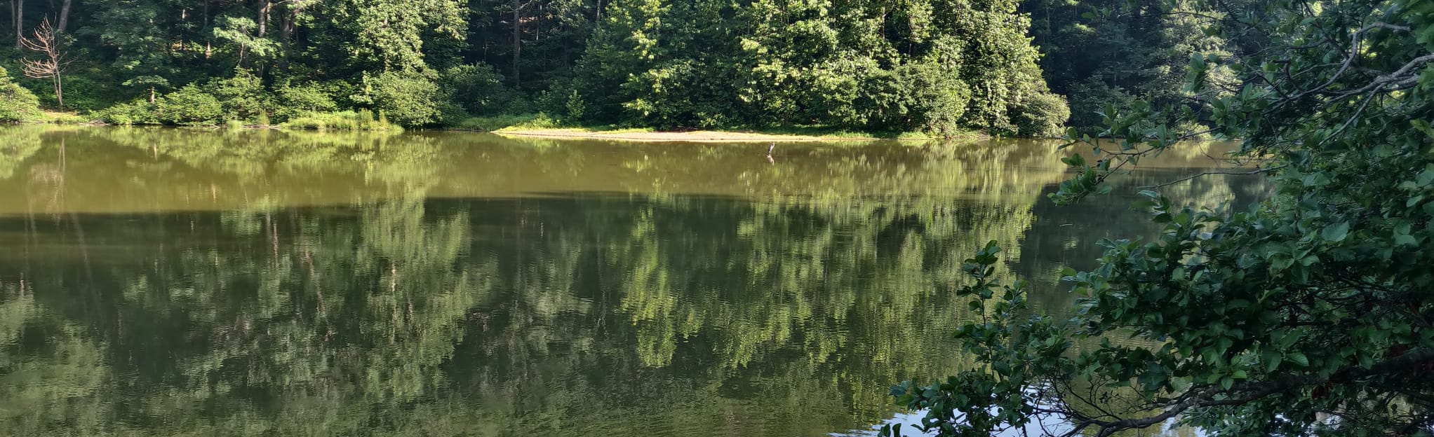 Slacks Trail [CLOSED], Virginia - 25 Reviews, Map | AllTrails