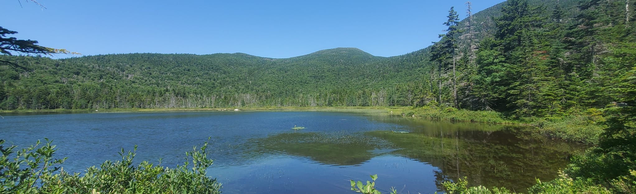 North-South Kinsman via Lonesome Lake, Fishin’ Jimmy, and Kinsman Pond ...
