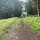 Plattekill Area Trails, New York - 57 Reviews, Map | AllTrails