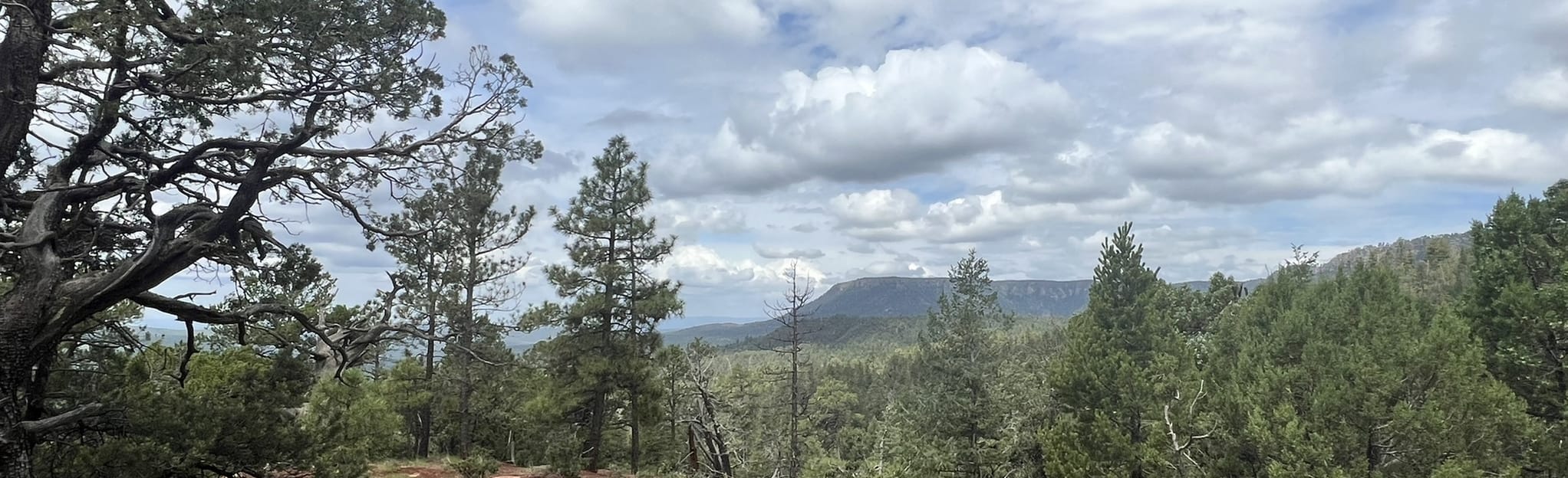 Christopher Creek, Arizona - 66 Reviews, Map | AllTrails