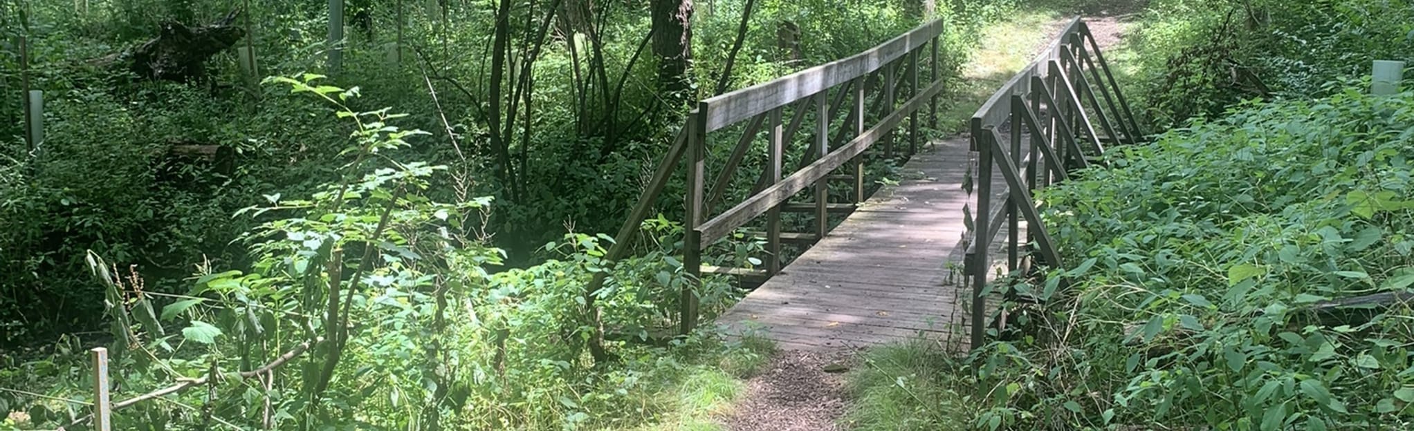 Walnut Springs Loop, Pennsylvania - 143 Reviews, Map | AllTrails