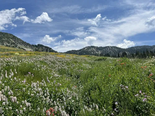 10 Best Trails and Hikes in Sandy | AllTrails