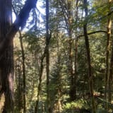 Maple Valley Loop, Washington - 230 Reviews, Map | AllTrails
