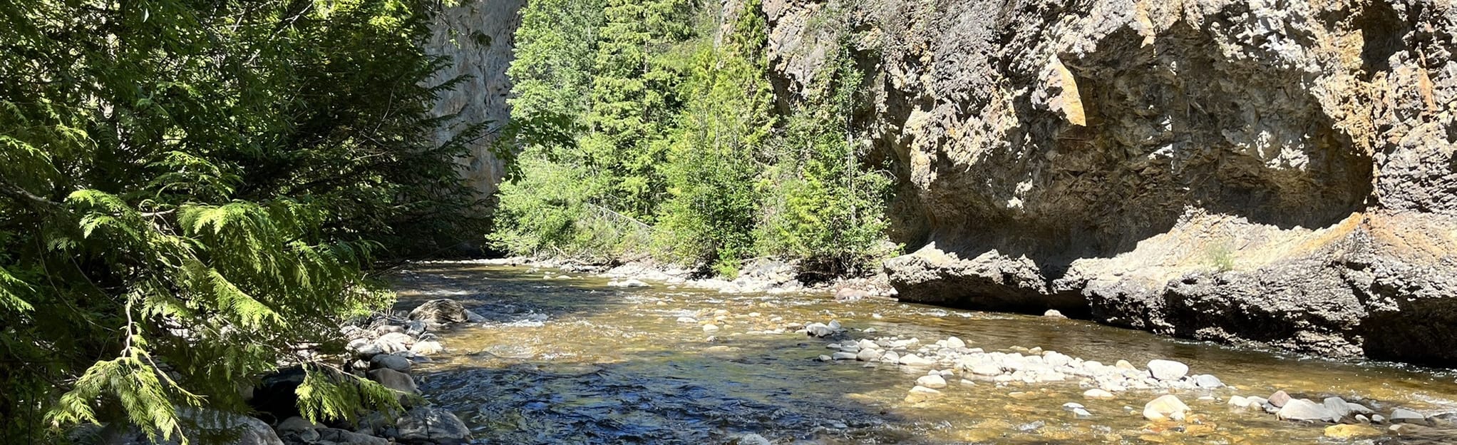 Mission Creek Greenway: Black Bear Trail, 185 Fotos - British Columbia ...