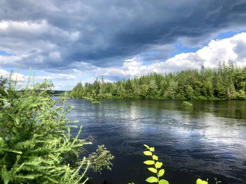 Best Beach Trails in Shannon | AllTrails