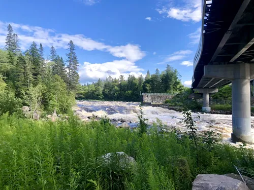 Best Beach Trails in Shannon | AllTrails