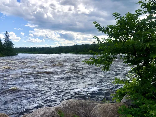 Best Beach Trails in Shannon | AllTrails