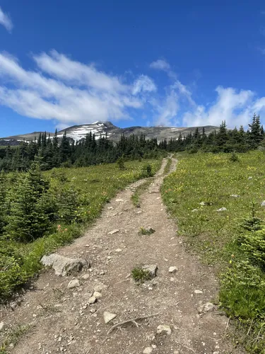10 Best Trails and Hikes in Smithers | AllTrails