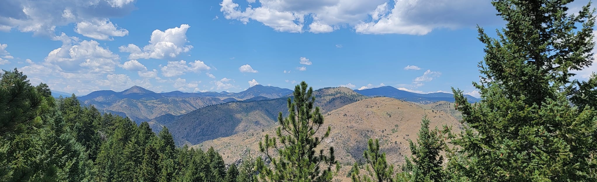 Beaver Brook Trail, Colorado - 1,249 Reviews, Map | AllTrails