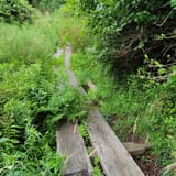 Paumanok Path, New York - 126 Reviews, Map | AllTrails