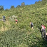 Wellsville Ridge Trail, Utah - 191 Reviews, Map | AllTrails