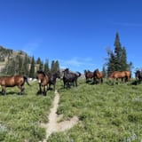 Seven Devils Loop, Idaho - 122 Reviews, Map | AllTrails