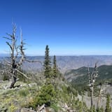 Seven Devils Loop, Idaho - 122 Reviews, Map | AllTrails