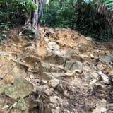Mount Nuang, Selangor, Malaysia - 223 Reviews, Map | AllTrails