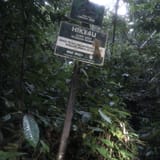 Mount Nuang, Selangor, Malaysia - 223 Reviews, Map | AllTrails