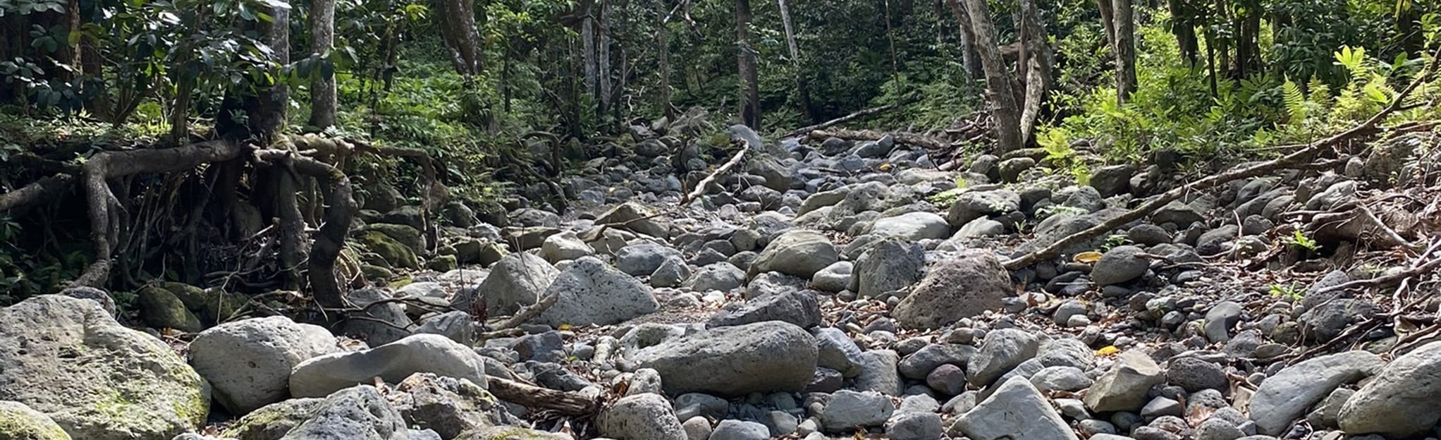 Ma'akua Gulch Trail, Oahu, Hawaii - 68 Reviews, Map | AllTrails