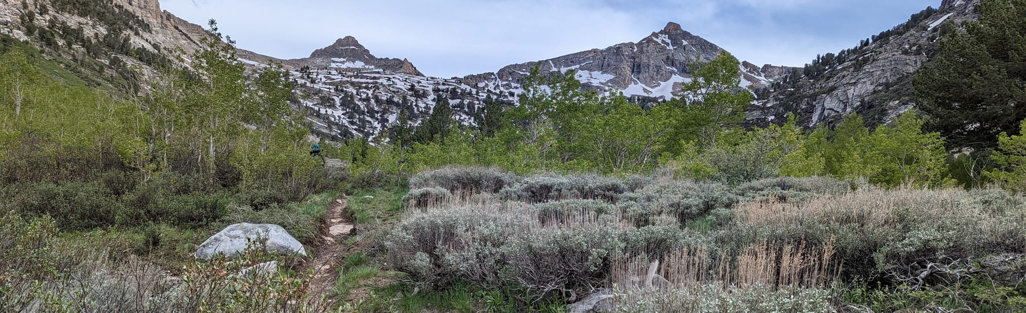 Thomas Creek Trail: 190 Reviews, Map - Nevada | AllTrails