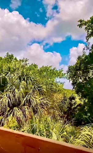 2023 Best trails in Daggerwing Nature Center | AllTrails